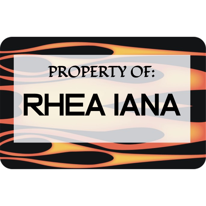 Airplane Bagtag | Robee Stickers